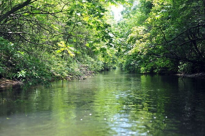 2 Hour Canoe on the Bibi River - An In-Depth Look at the Experience
