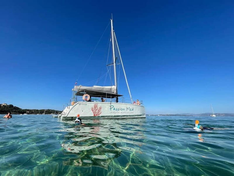 2-hour catamaran discovery tour of the Giens Peninsula and Porquerolles - The Water Activities: Fun and Education Combined