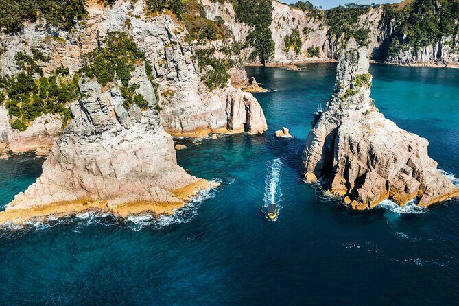 2 Hour Cathedral Cove and Volcanic Coast Cruise with Shade Canopy - The Experience in Context