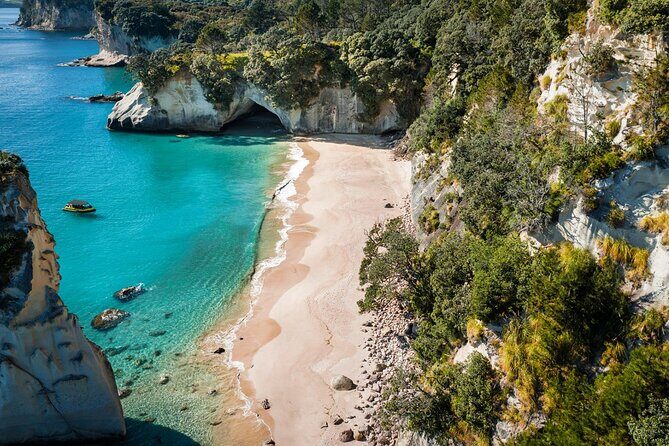 2 Hour Cathedral Cove and Volcanic Coast Cruise with Shade Canopy - Who Should Consider This Tour?