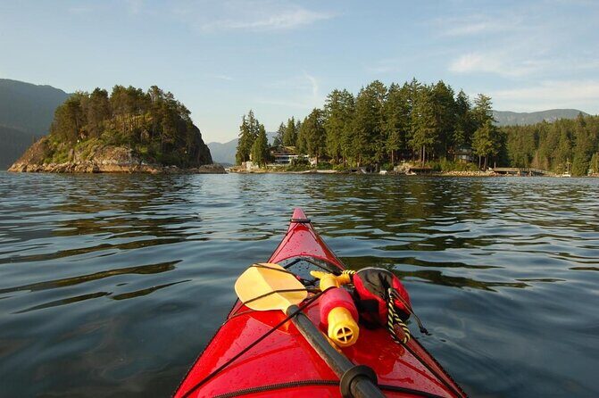 2 Hour Chartered Boat Tour from Deep Cove North Vancouver - A Detailed Look at the 2-Hour Chartered Boat Tour from Deep Cove in North Vancouver