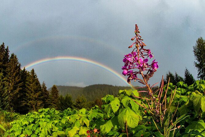 2 Hour Chichagof Island Guided Driving Tour - Final Thoughts: Who Is This Tour Best For?