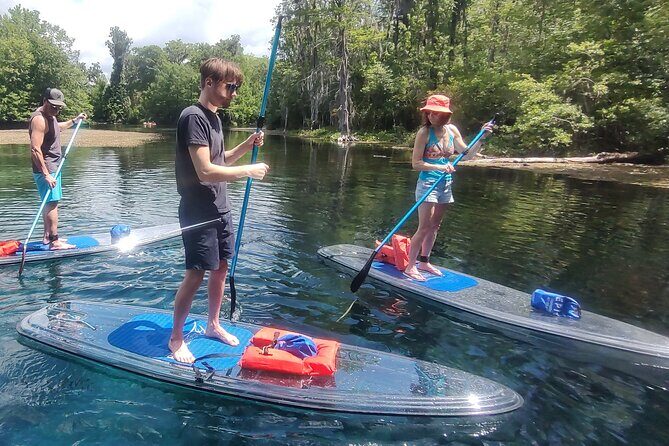 2-Hour Clear Kayak & Clear Paddleboard(SUP) Rental in Orlando - The Local Area: Activities & Dining
