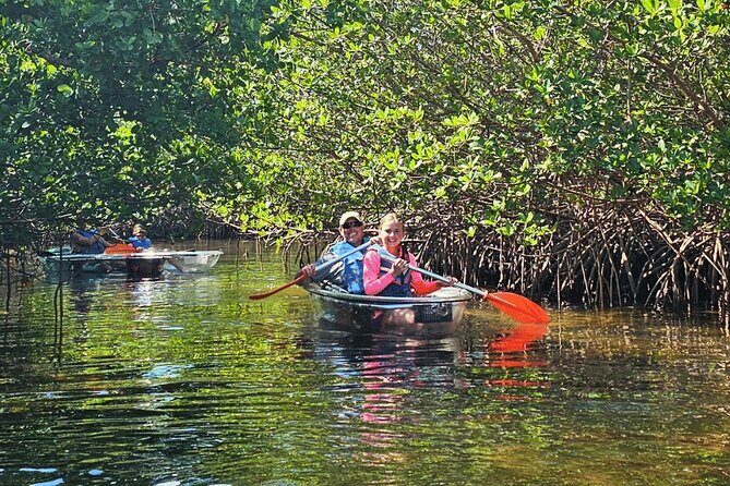 2-Hour Clear Kayak Mangrove Eco Tours, St Pete - Exploring the 2-Hour Clear Kayak Mangrove Eco Tour in St. Pete