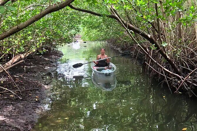 2-Hour Clear Kayak Mangrove Eco Tours, St Pete - FAQ