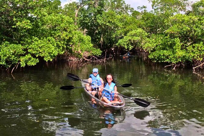 2 Hour Clear Kayak Tour at Emerson Point Preserve - Analyzing Value and Practical Details
