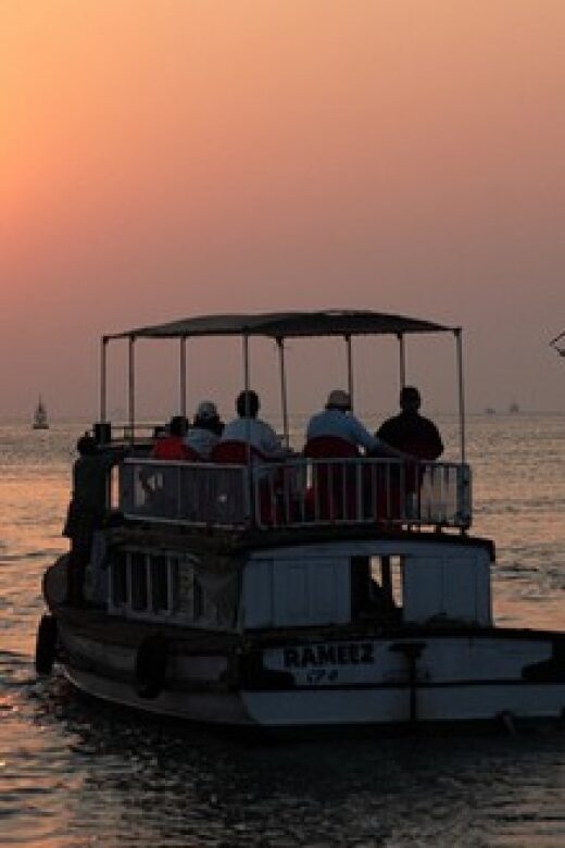 2-Hour Cochin Sunset Harbor Cruise - What Participants Say