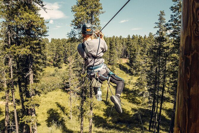 2 Hour Cypress Hills Zipline Afternoon Adventure - The Experience: What You Can Expect