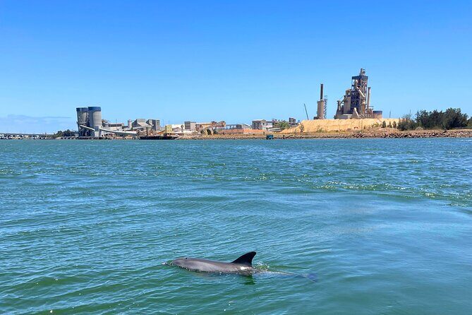 2-Hour Dolphin and Maritime Cruise in Port Adelaide - Practical Details and Considerations
