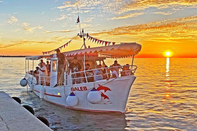 2-Hour Dolphin Guided Safari NP Brijuni from Fazana - Key Points:
