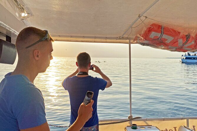 2-Hour Dolphin Guided Safari NP Brijuni from Fazana - The Itinerary: What You Can Expect