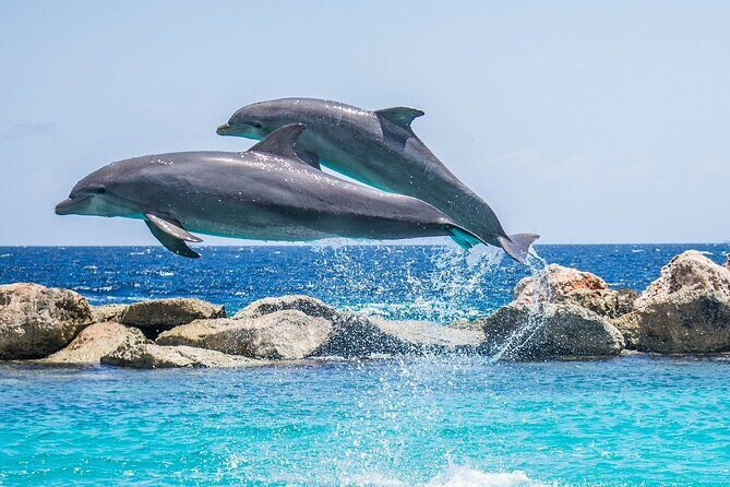 2-Hour Dolphin Sunset Tour from Giardini Naxos - What the Reviews Say