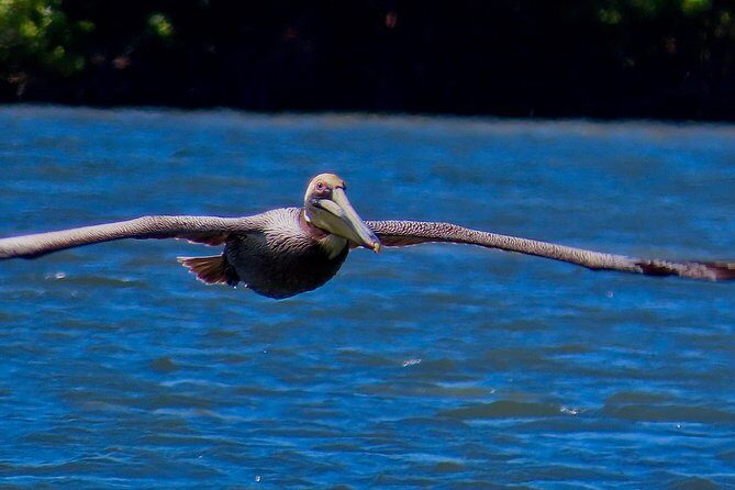 2 hour Dolphin Tours - The Itinerary in Detail