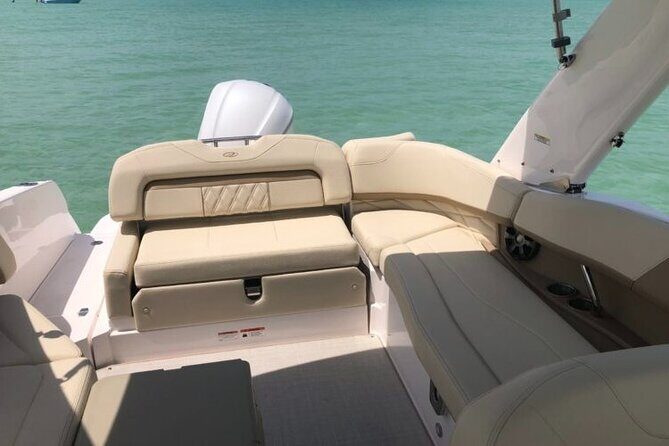 2 hour Dolphin Tours - The Experience of Guided Wildlife Encounters