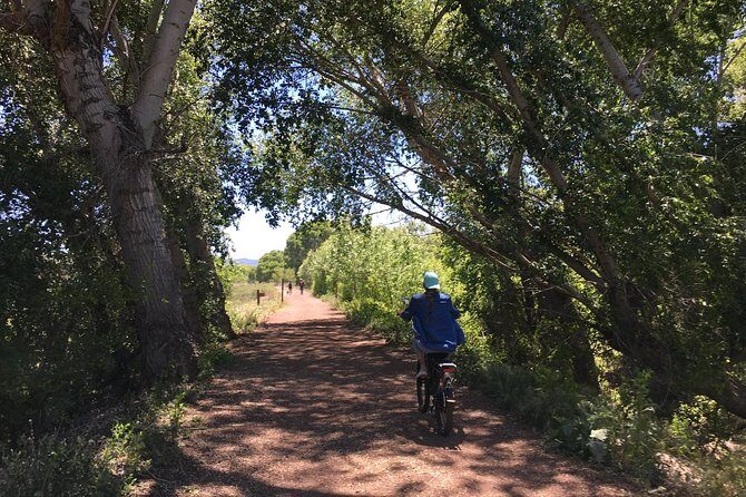 2 Hour E bike Ride at The Peavine Trail (Popular) - An In-Depth Look at the Prescott Peavine Trail E-Bike Tour