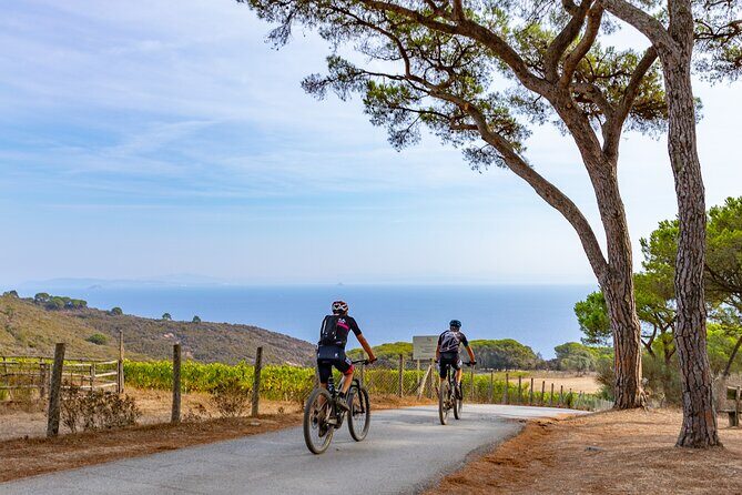 2-Hour e-bike Tour with Wine Tasting in Tenuta delle Ripalte - Mountain Biking through Elba’s Untamed Landscape