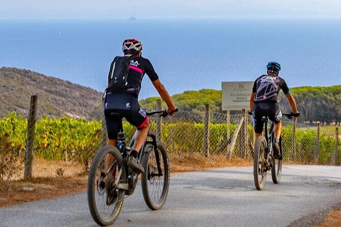 2-Hour e-bike Tour with Wine Tasting in Tenuta delle Ripalte - Practical Details: Timing, Cost, and Group Size