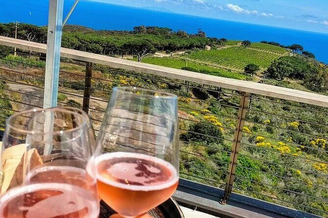2-Hour e-bike Tour with Wine Tasting in Tenuta delle Ripalte - What the Reviews Say