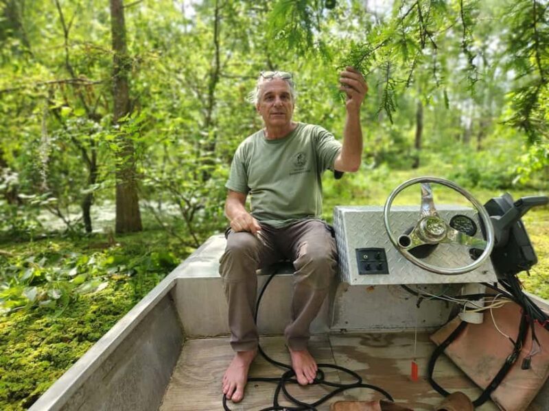 2-hour Eco-Swamp Tour - Exploring the 2-hour Eco-Swamp Tour in Louisiana