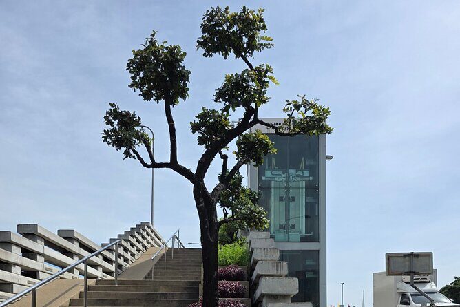 2 Hour Electric Tuk Tuk Cultural Tour of Bangkok - FAQ