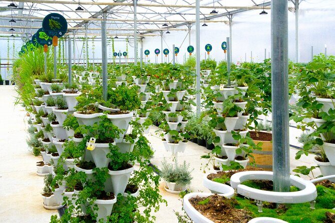 2-Hour Farm Experience in Gateway Yarra Valley - Exploring the 2-Hour Farm Experience in Gateway Yarra Valley