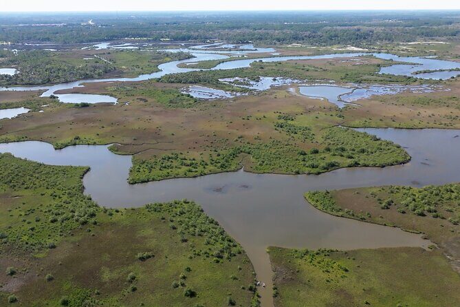 2-Hour Glass Bottom Guided Eco Tour in Flagler County-Small-group - The Sum Up: Who Will Love This Tour?