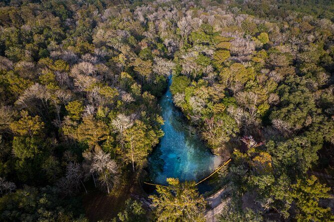 2 Hour Glass Bottom Guided Kayak Eco Tour in Gilchrist Blue - FAQ: Your Practical Questions Answered