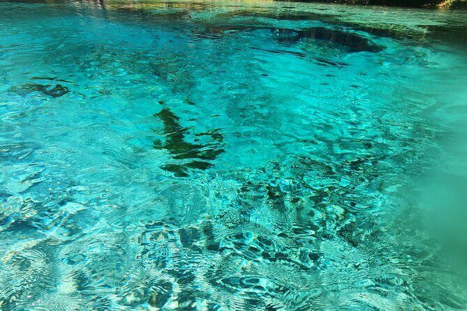 2 Hour Guided Clear Glass Bottom Kayak Tour Gilchrist Blue Spring - Introduction