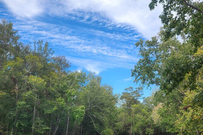 2 Hour Guided Clear Glass Bottom Kayak Tour Gilchrist Blue Spring - FAQs