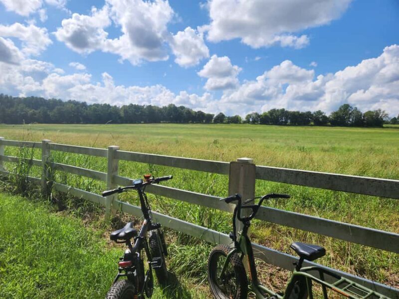 2 hour Guided E-bike Tour: Greenery, Scenery & Mindfulness - Key Points