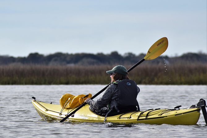 2-Hour Guided Kayak Eco Tour in Charleston - A Closer Look at the Experience