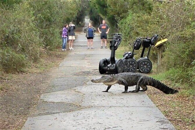 2-Hour Guided Segway Tour of Huntington Beach State Park in Myrtle Beach - The Park and Surroundings: A Natural and Historic Showcase
