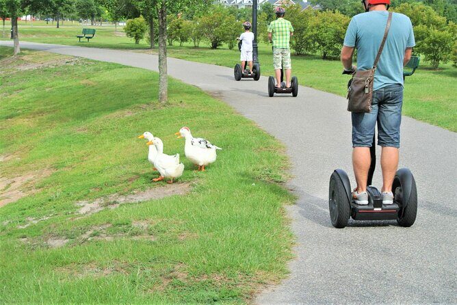 2-Hour Guided Segway Tour of Huntington Beach State Park in Myrtle Beach - The Value of This Experience: Is It Worth It?