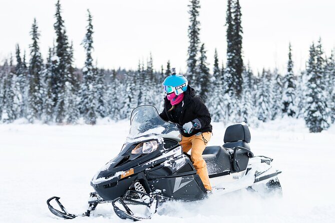 2-Hour Guided Snowmobile Tour in Fairbanks - Who Will Love This Tour?