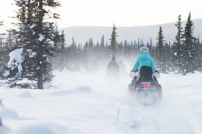 2-Hour Guided Snowmobile Tour in Fairbanks - The Value of the Tour
