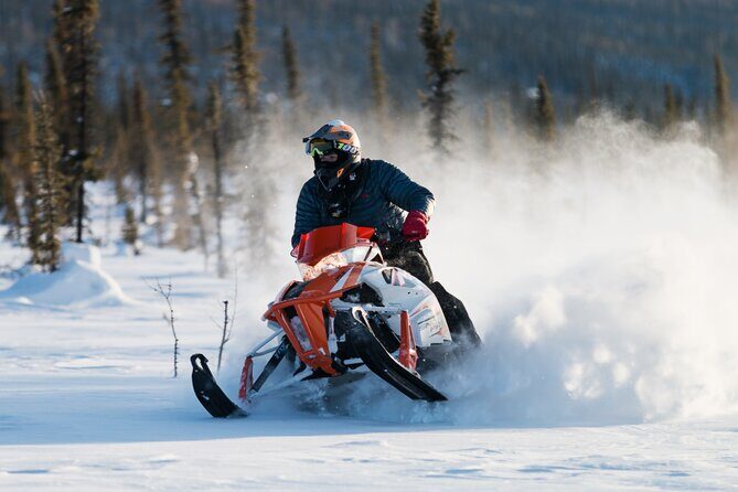 2-Hour Guided Snowmobile Tour in Fairbanks - What Sets This Tour Apart?
