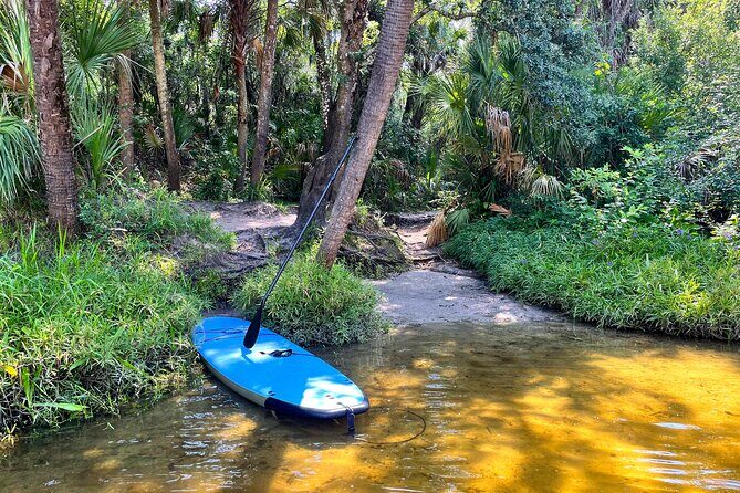 2 Hour Guided Stand Up Paddle Board Tour along Upper Manatee River - Who Will Enjoy This Tour?
