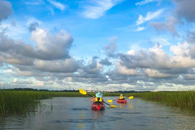 2-Hour Hilton Head Guided Kayak Nature Tour - What to Expect During the Tour
