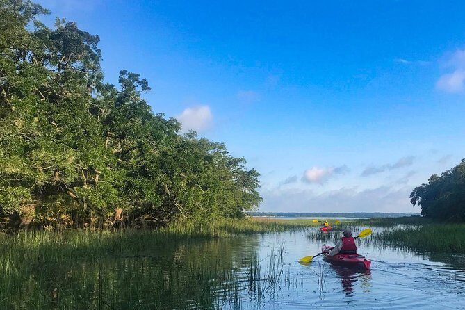2-Hour Hilton Head Guided Kayak Nature Tour - The Cost and Value