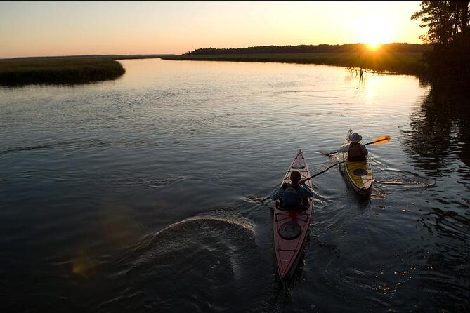 2-Hour Hilton Head Guided Kayak Nature Tour - Authentic Experiences from Reviewers