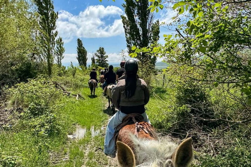 2-hour horse riding tour at Palomino Ranch Near Tbilisi - Discovering the Palomino Ranch Experience
