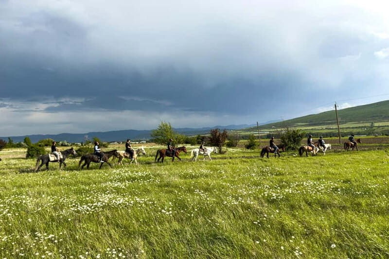 2-hour horse riding tour at Palomino Ranch - The Practical Side: Whats Included and Considerations