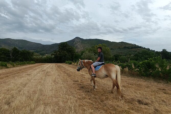2 hour horseback ride for experts in Valgraziosa (Pisa) - An In-Depth Look at the Horseback Ride Near Pisa