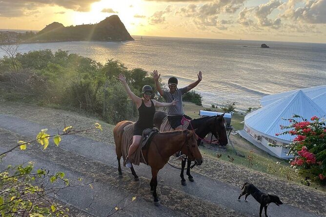 2 Hour Horseback Riding Sunset Tour with Dore's Riding Stable - An Introduction to a truly memorable equestrian adventure