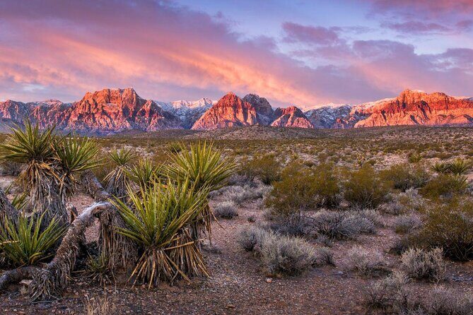 2-Hour Horseback Riding through Red Rock Canyon - An Authentic Nevada Experience: 2-Hour Horseback Riding through Red Rock Canyon