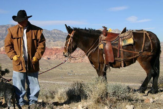 2-Hour Horseback Riding through Red Rock Canyon - The Ride’s Flow and Pacing