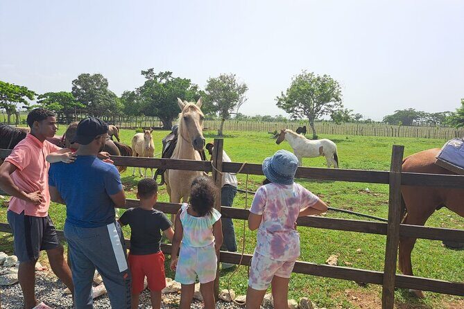 2-Hour Horseback Riding Tour at Sunset from Punta Cana - The Sum Up