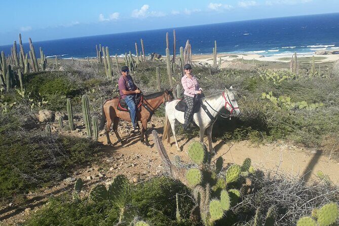 2-Hour Horseback Riding Tour to Little Natural Bridge in Aruba - Pricing and Value