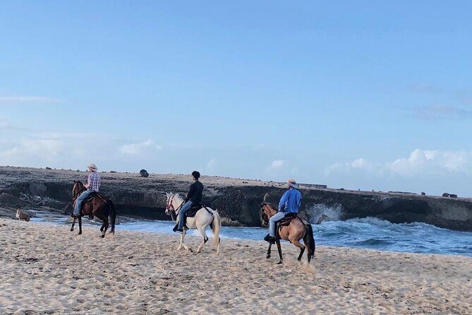 2-Hour Horseback Riding Tour to Little Natural Bridge in Aruba - Summary of Pros and Cons