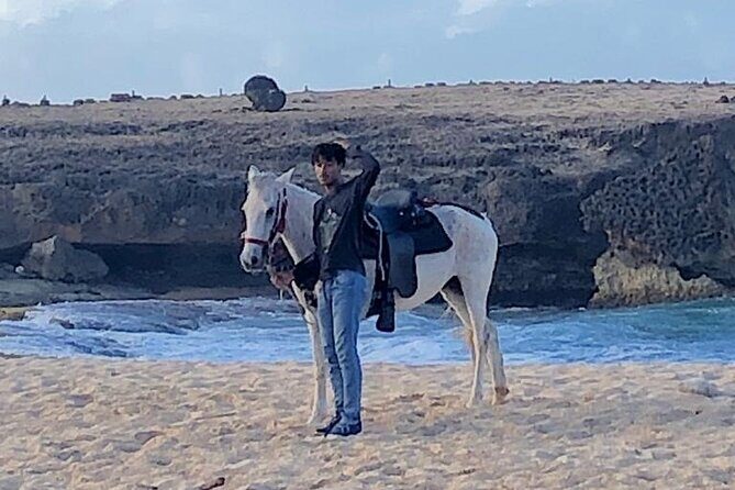2-Hour Horseback Riding Tour to Little Natural Bridge in Aruba - The Sum Up